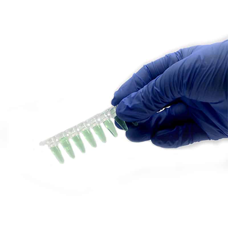 PCR 8 strip tube - Meter BD Shop